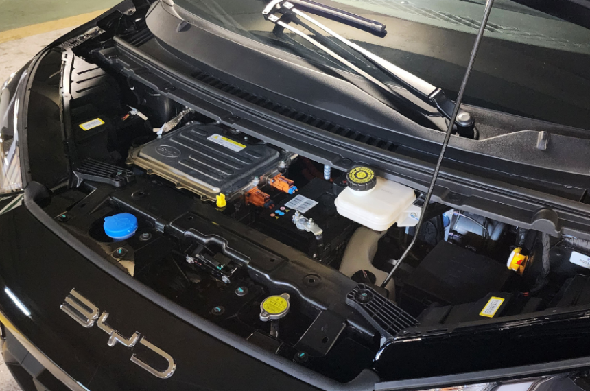 BYD Dolphin Mini: o pequeno ícone “verde” que já virou... ABC do ABC